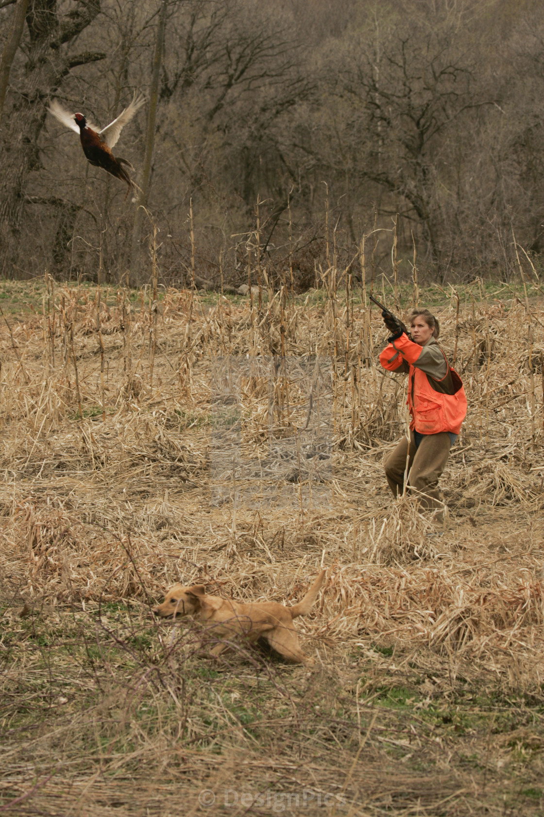 Welcome to Crooked Foot Hunt Club: Mid-Michigan's Finest Hunting Club
