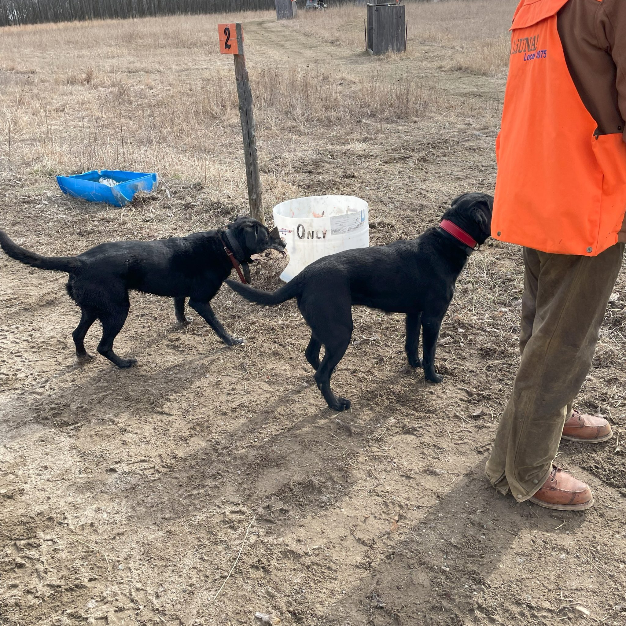 Photos - Crooked Foot Hunt Club